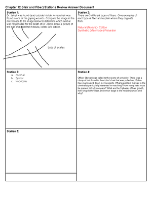 Collecting evidence guidelines worksheet - Forensic Science Crime Scene ...