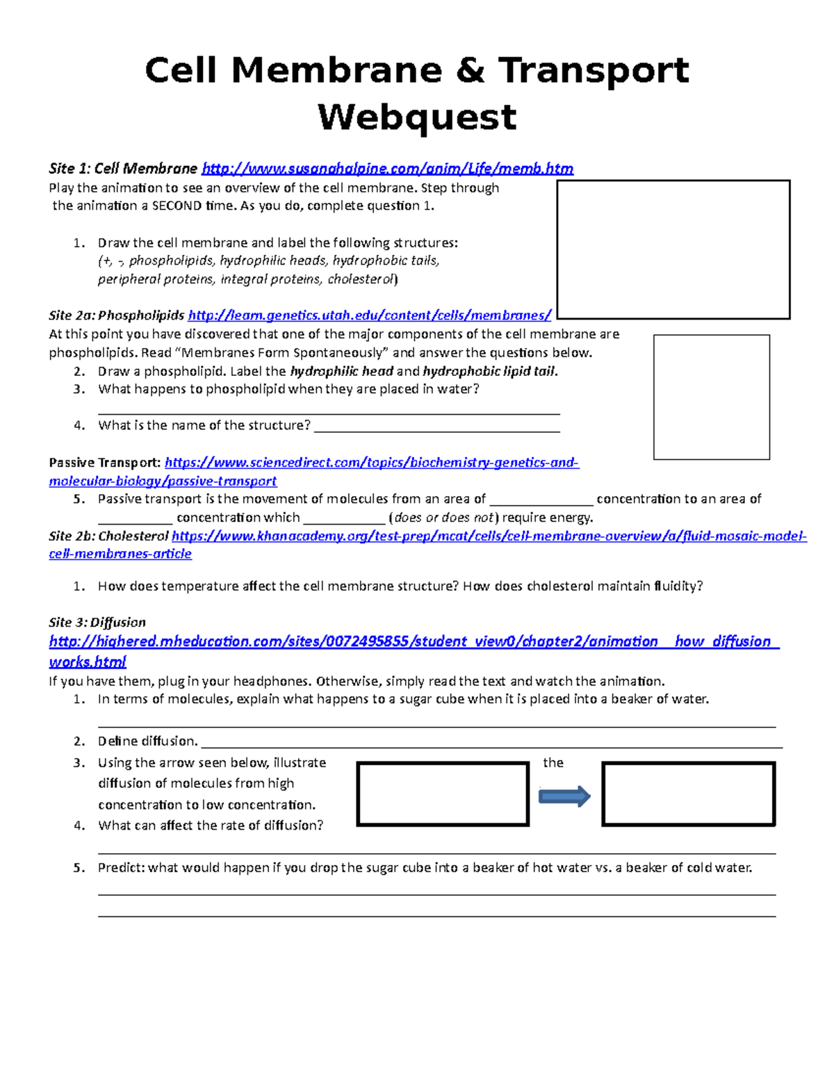AP Cell membrane and Transport Webquest - Cell Membrane & Transport ...