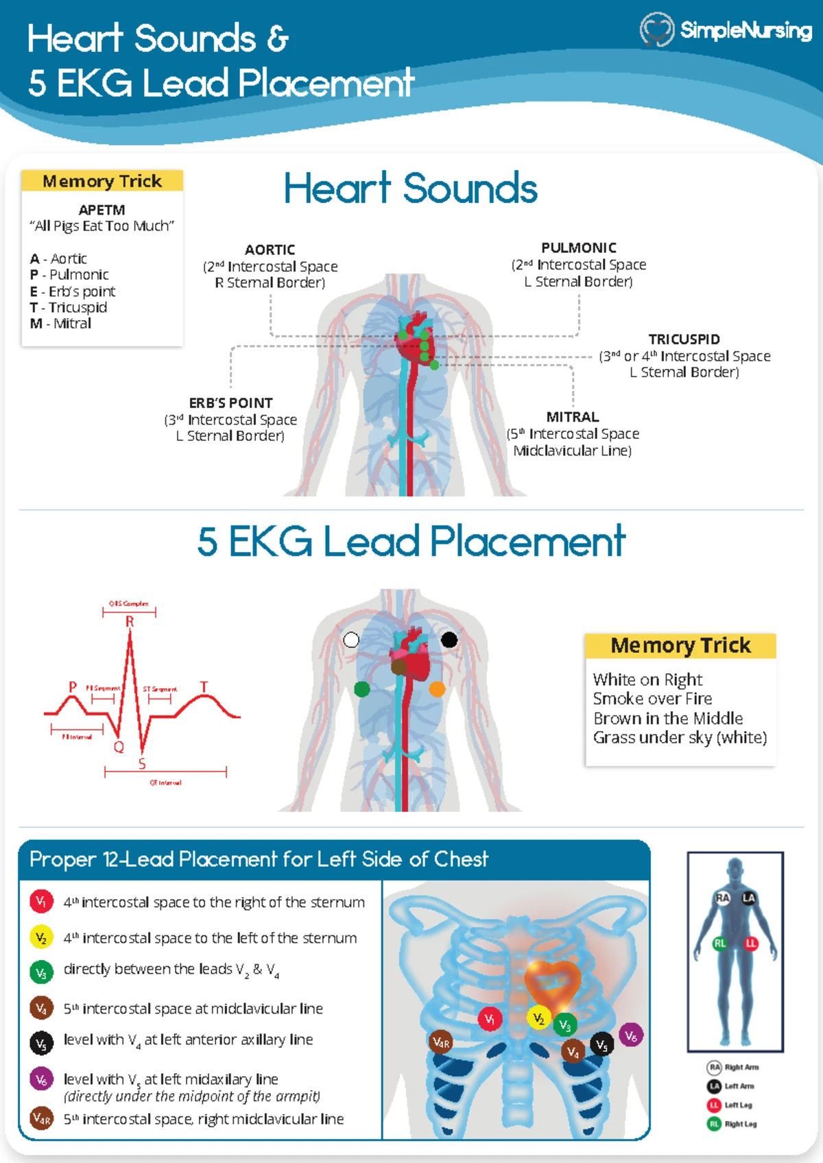 Therapeutic Procedure Electroconvulsive Therapy - ACTIVE LEARNING ...