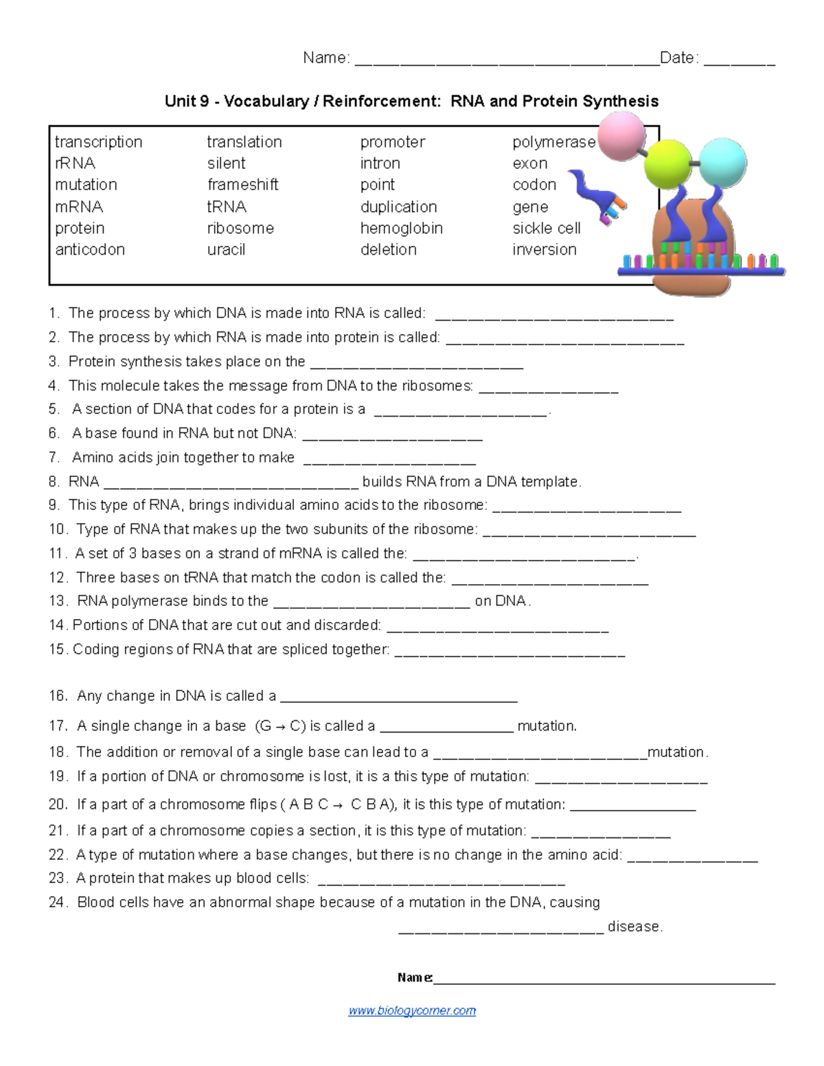 Unit 9 - Vocabulary Reinforcement: RNA & Protein Synthesis - Studocu