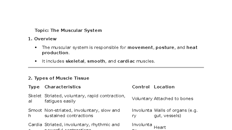 Muscular System Overview: Types, Functions & Contractions - Studocu