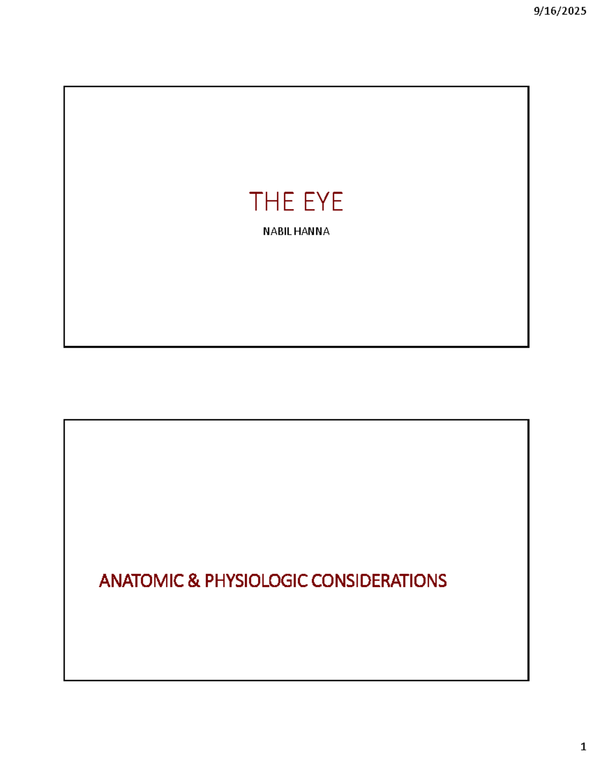 Anatomy and Physiology of the Eye: Key Considerations and Disorders ...