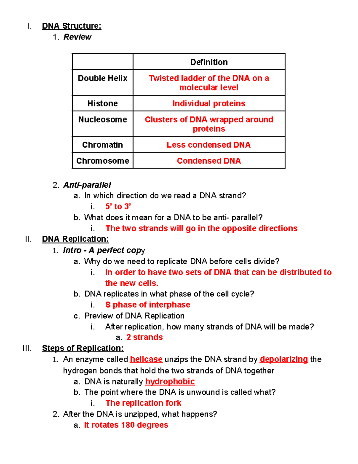 DNA Replication Notes - Key Concepts and Enzyme Functions - I. DNA ...