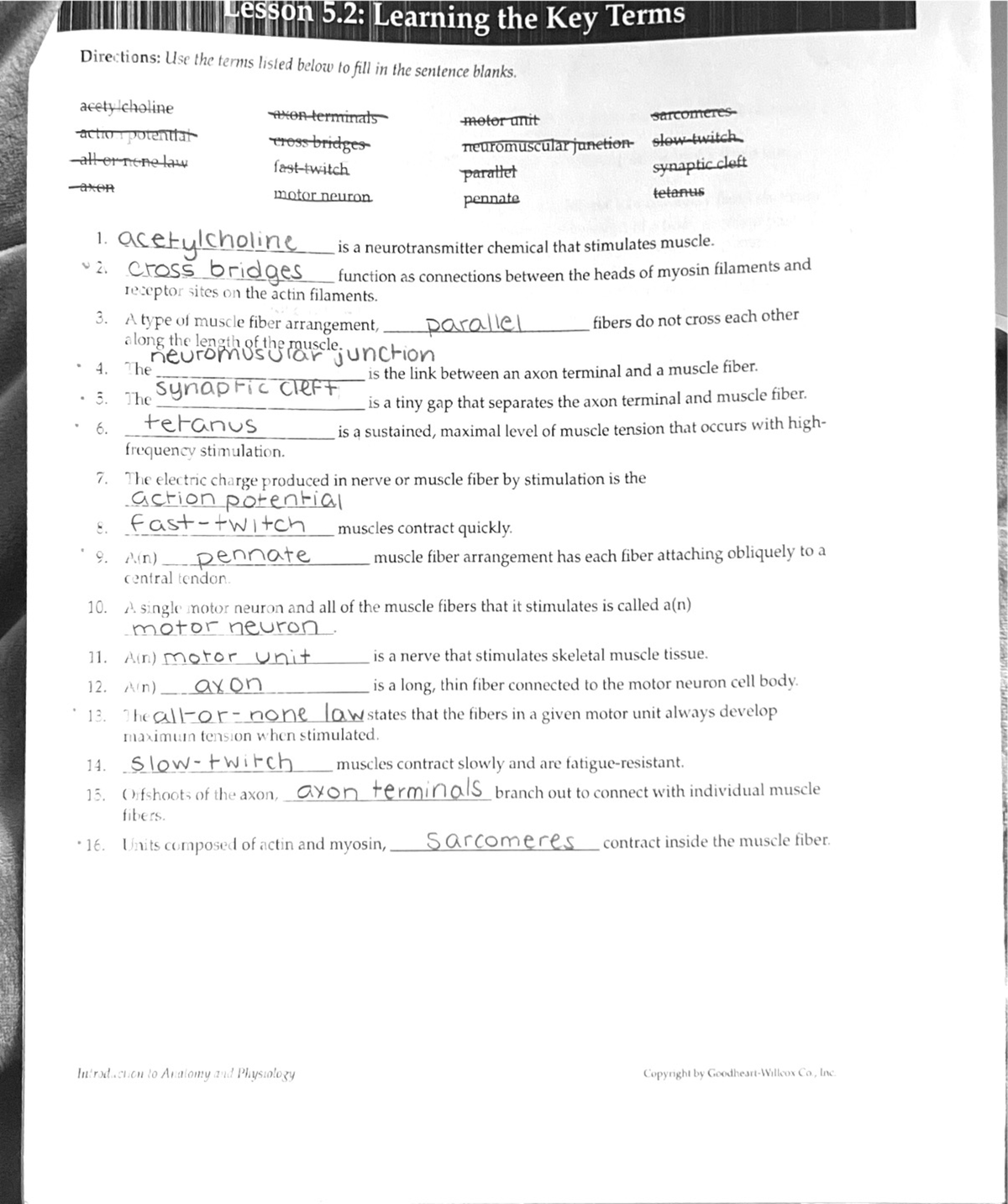 Lesson 5.2 - Learning Key Terms - Lesson 5: Learning the Key Terms ...