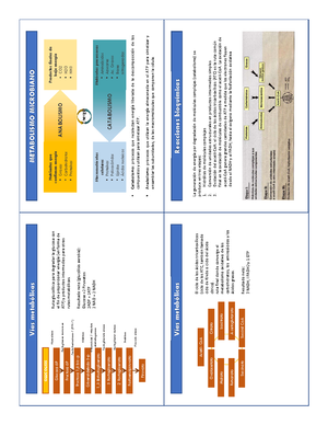 Soluciones amortiguadoras concepto, propiedades, tipos, ejemplos - CIENCIA » QUÍMICA ...