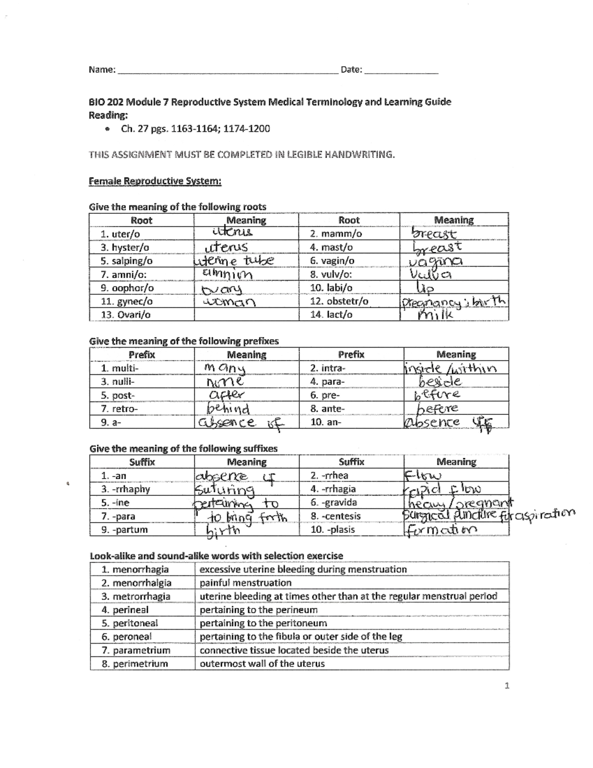 BIO 202 Module 7 Assignment: Reproductive System Terminology Guide ...