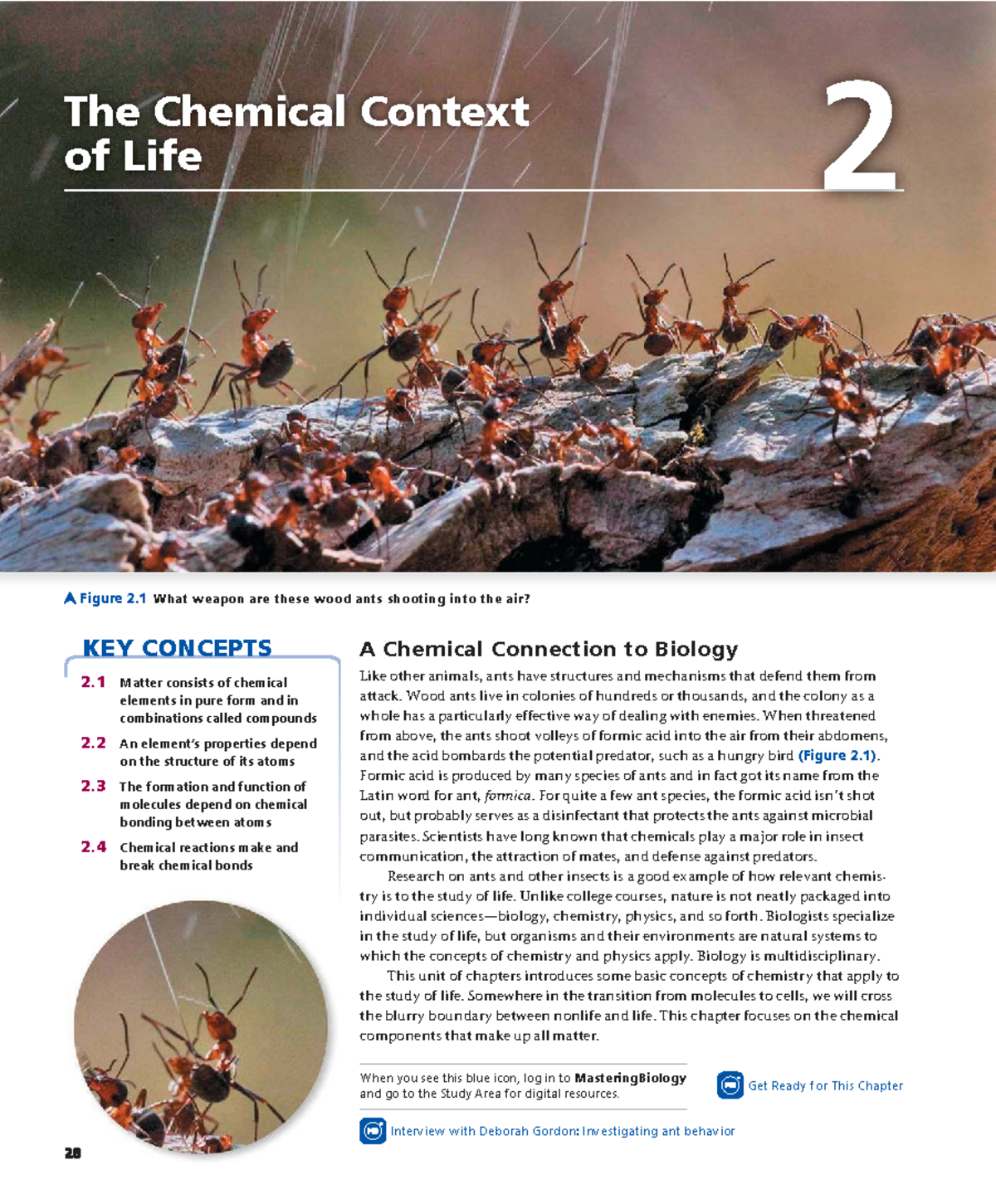 Understanding the Chemical Context of Life in Biology (Biology 101 ...