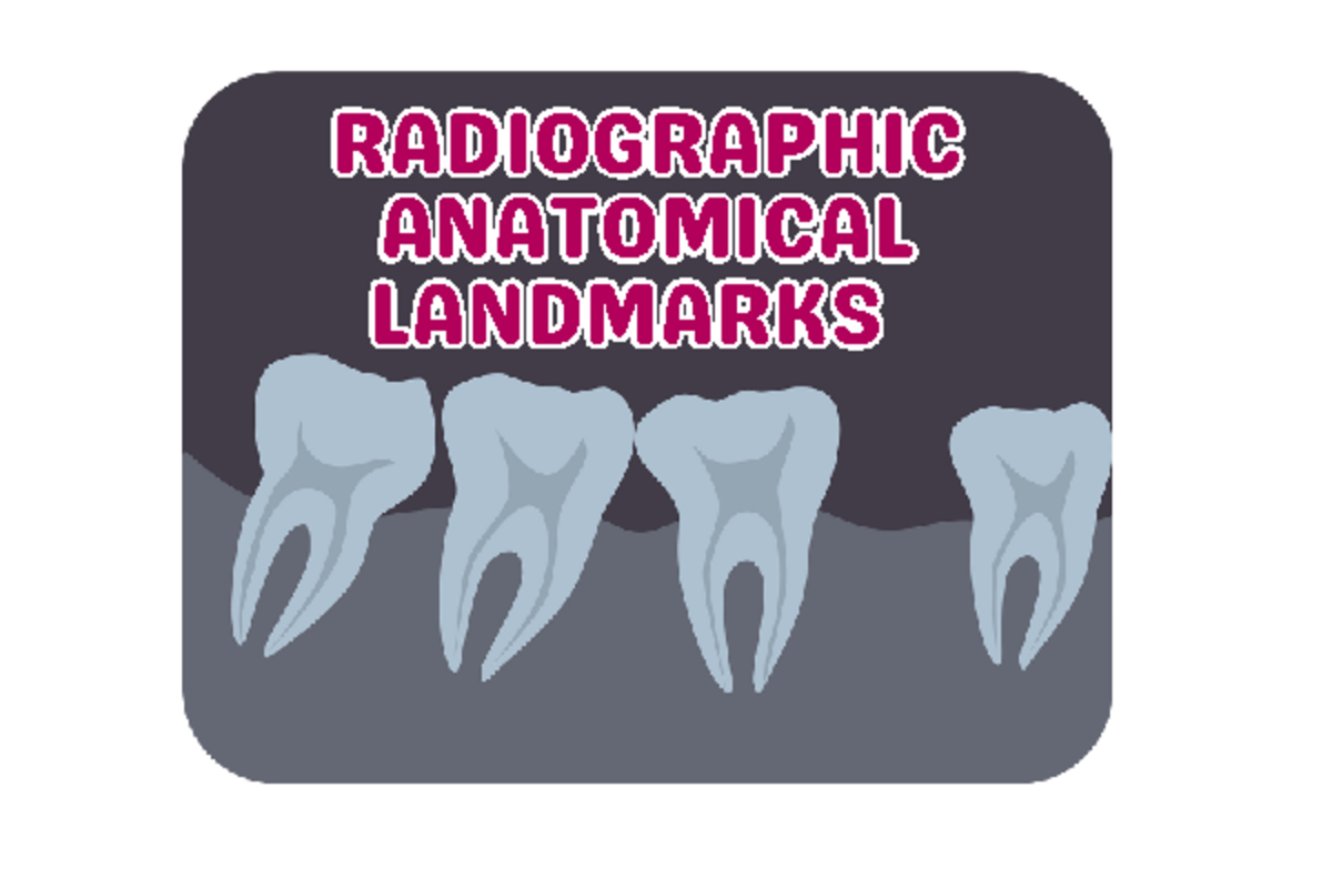 RADIOGRAPHIC ANATOMICAL LANDMARKS: NORMAL TOOTH ANATOMY (RAD 101) - Studocu