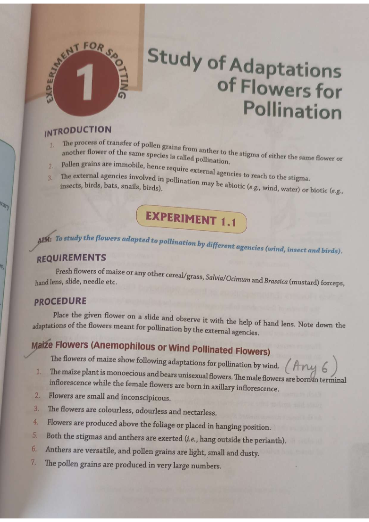 EXP 1: Study of Flower Adaptations for Pollination - Studocu