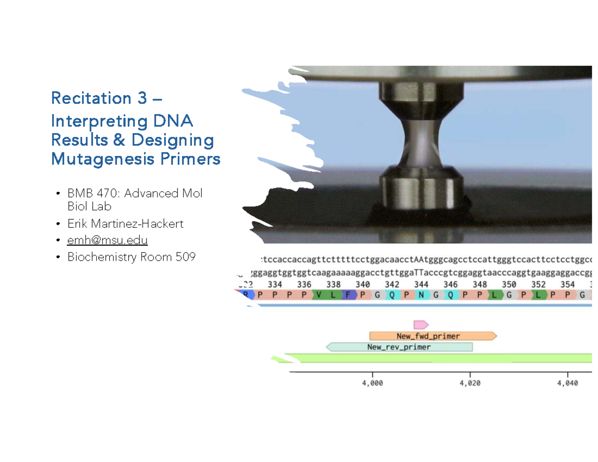 BMB 470 Recitation 3: Designing Mutagenesis Primers for K40L Mutation ...