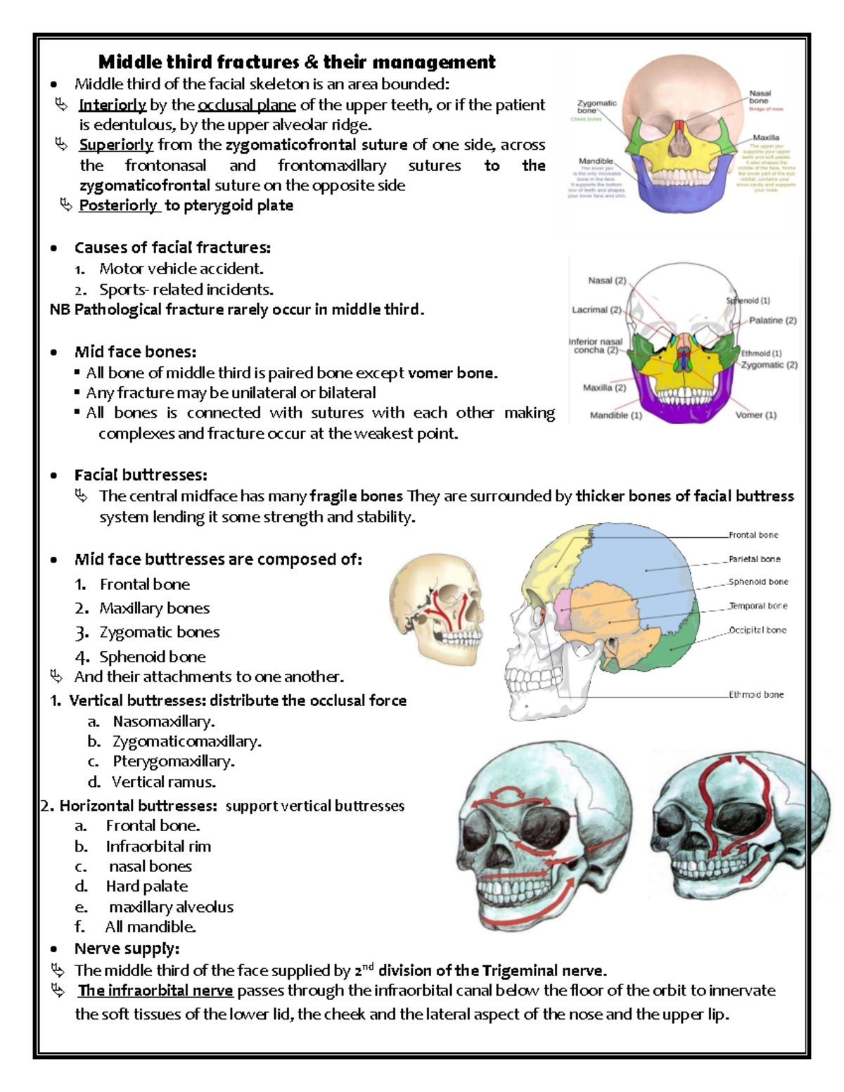 Middle Third fracture - Superiorly from the zygomaticofrontal suture of ...