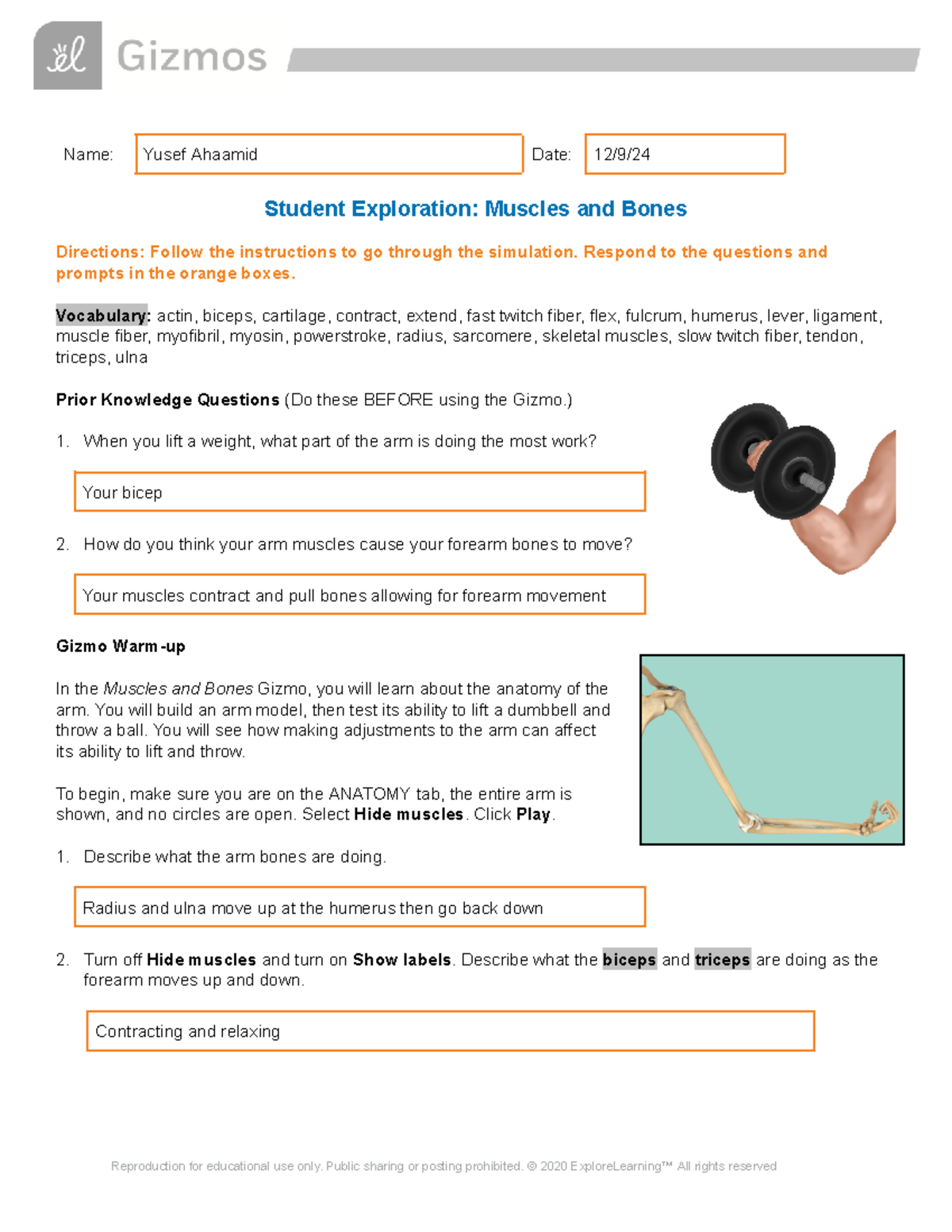 Exploring Muscles and Bones: Gizmo Simulation Activities - BIO101 - Studocu