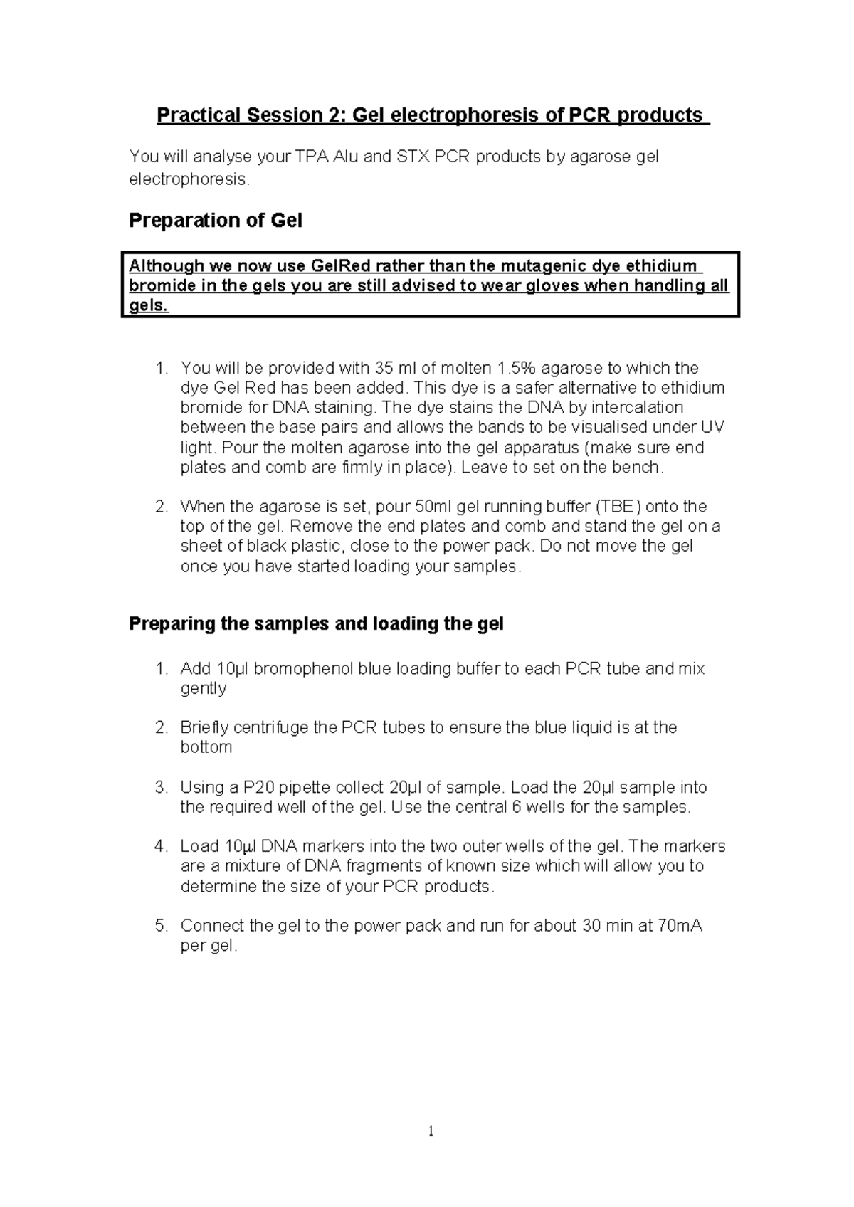 4011BIO Practical Session 2: Gel Electrophoresis of PCR Products - Studocu