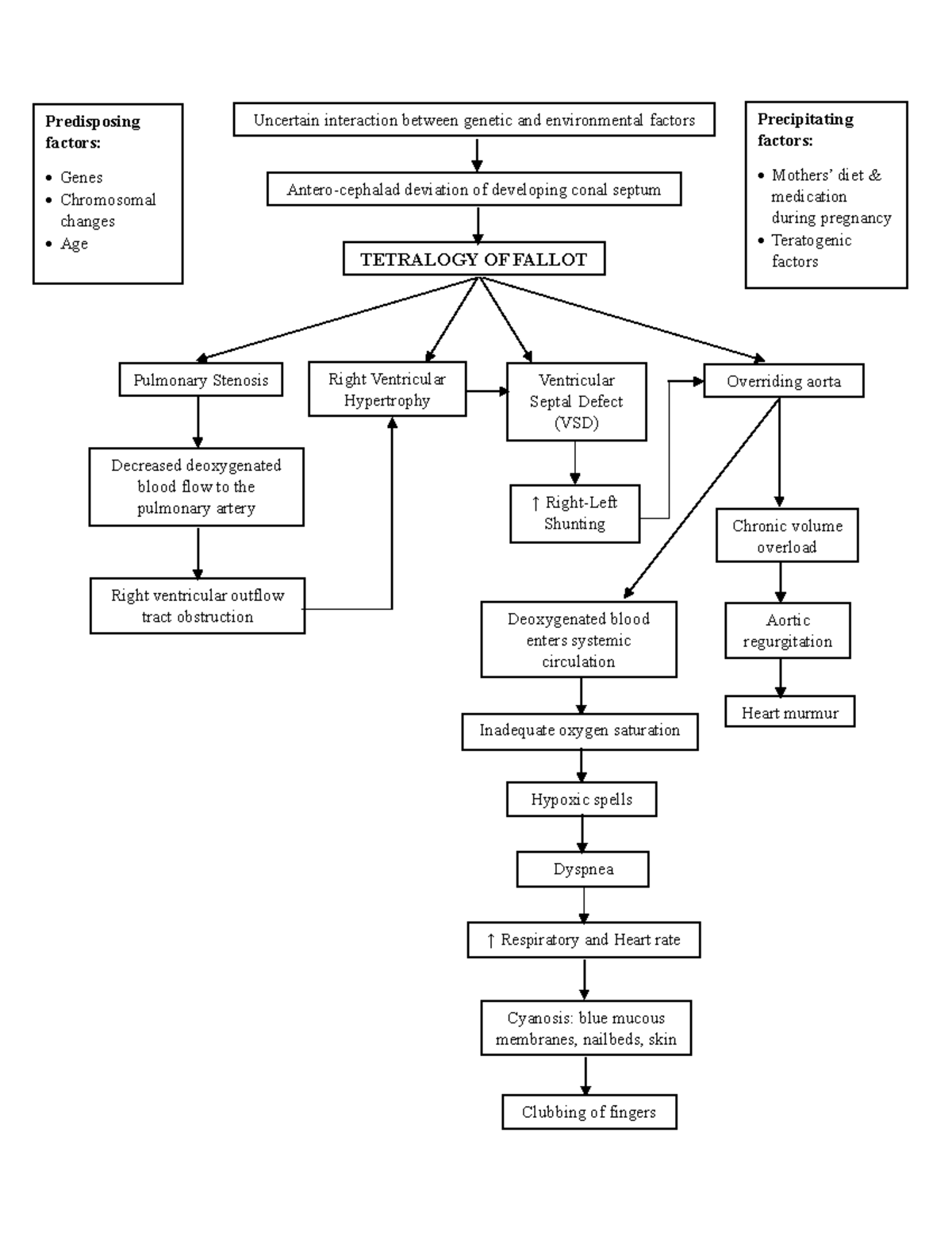 Pathophysiology of Tetralogy of Fallot: Key Factors and Effects - Studocu