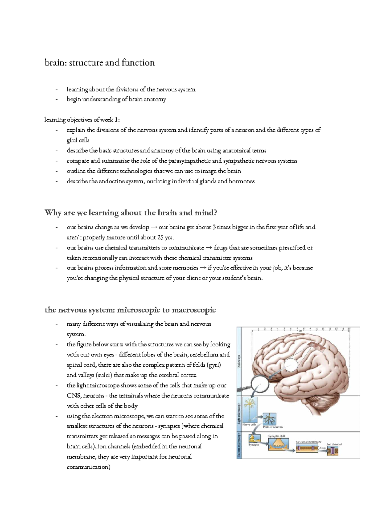 Week 1: Brain Structure & Function - PSY101 Psychology Intro Notes ...