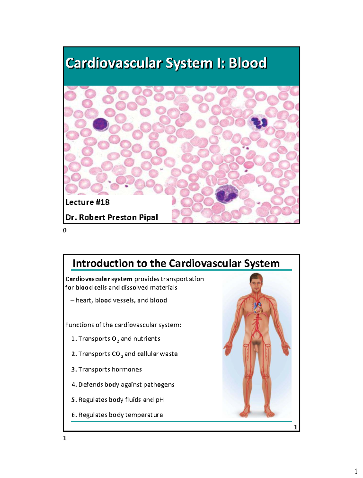 Cardiovascular System I: Blood & Heart Lecture Notes (BIO 101) - Studocu