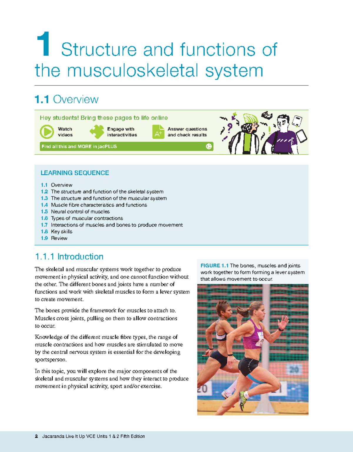 VCE PE Unit 1: Structure & Functions of the Musculoskeletal System ...