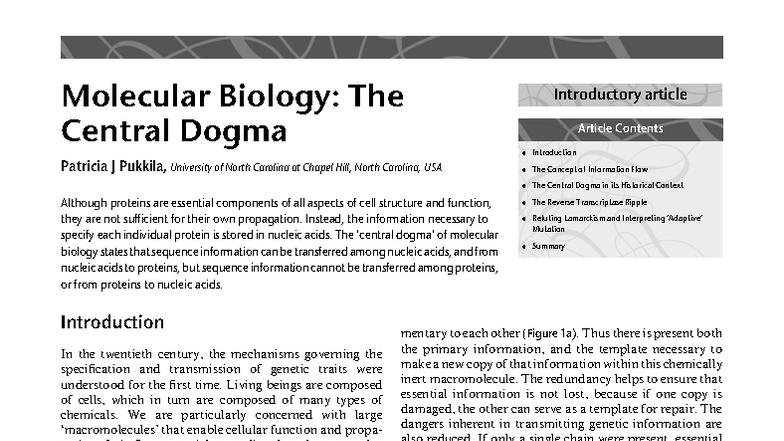 Molecular Biology 101: The Central Dogma Overview - Studocu