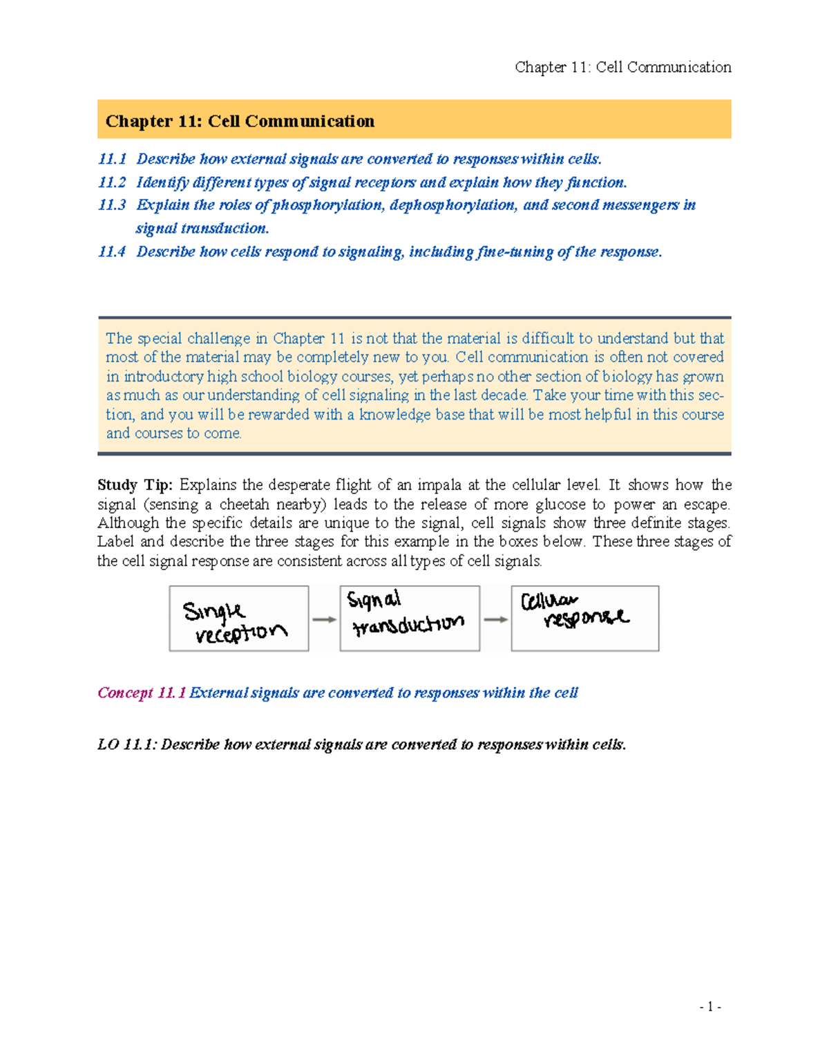 Chapter 11: Cell Communication - Signal Transduction & Responses - Studocu