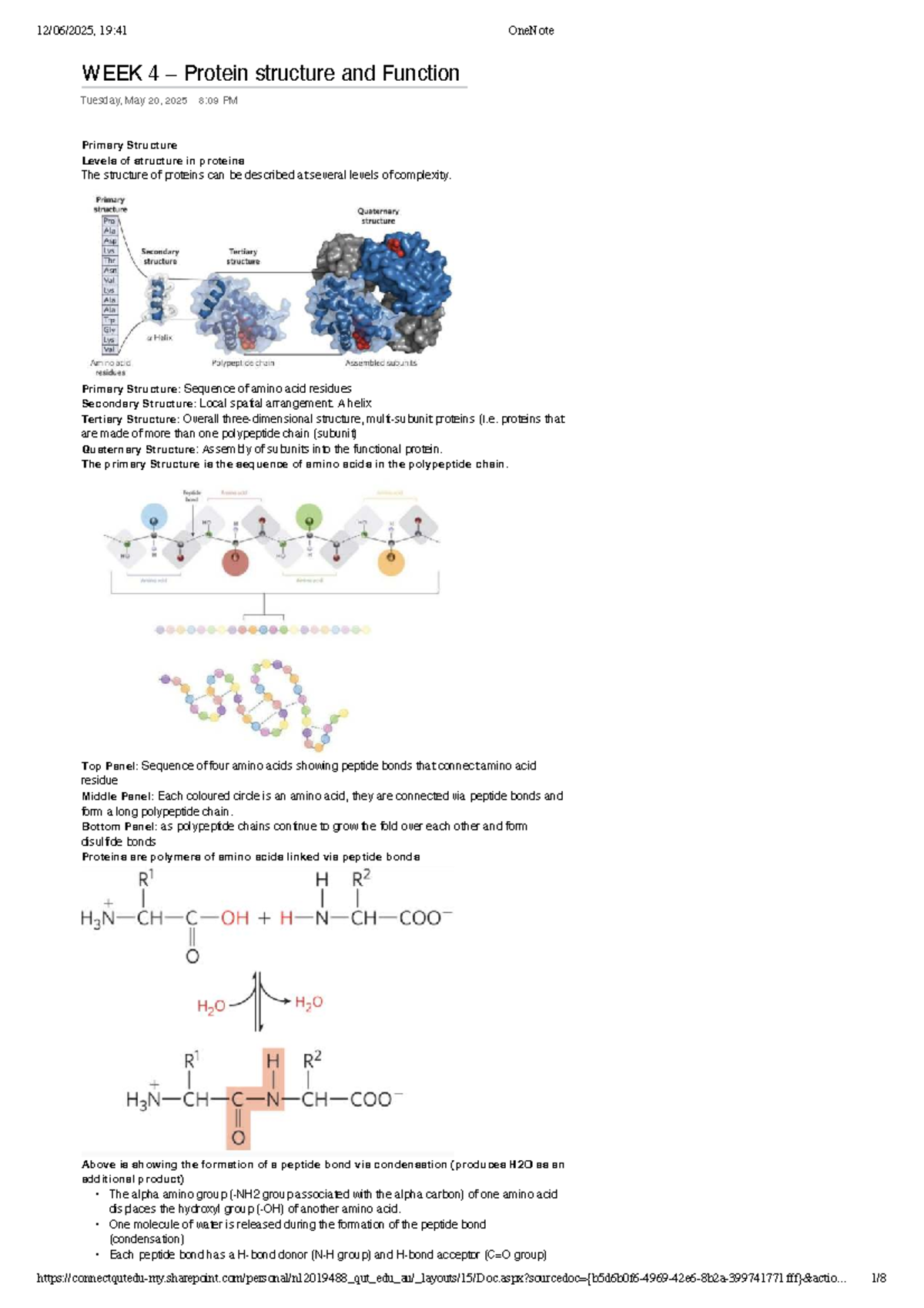 LQB381 Lecture Notes: Protein Structure and Function Overview - Studocu