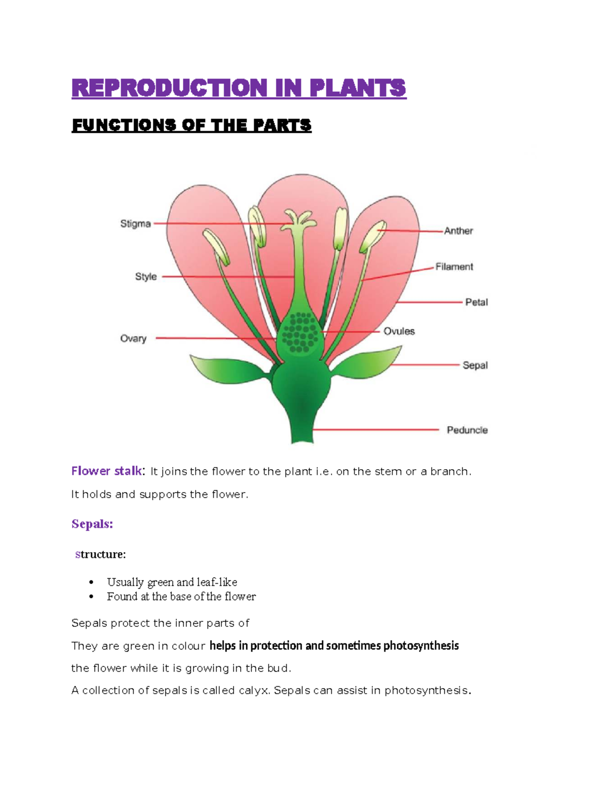 Parts of a Flower: Functions and Reproductive Mechanisms (BIO 101 ...