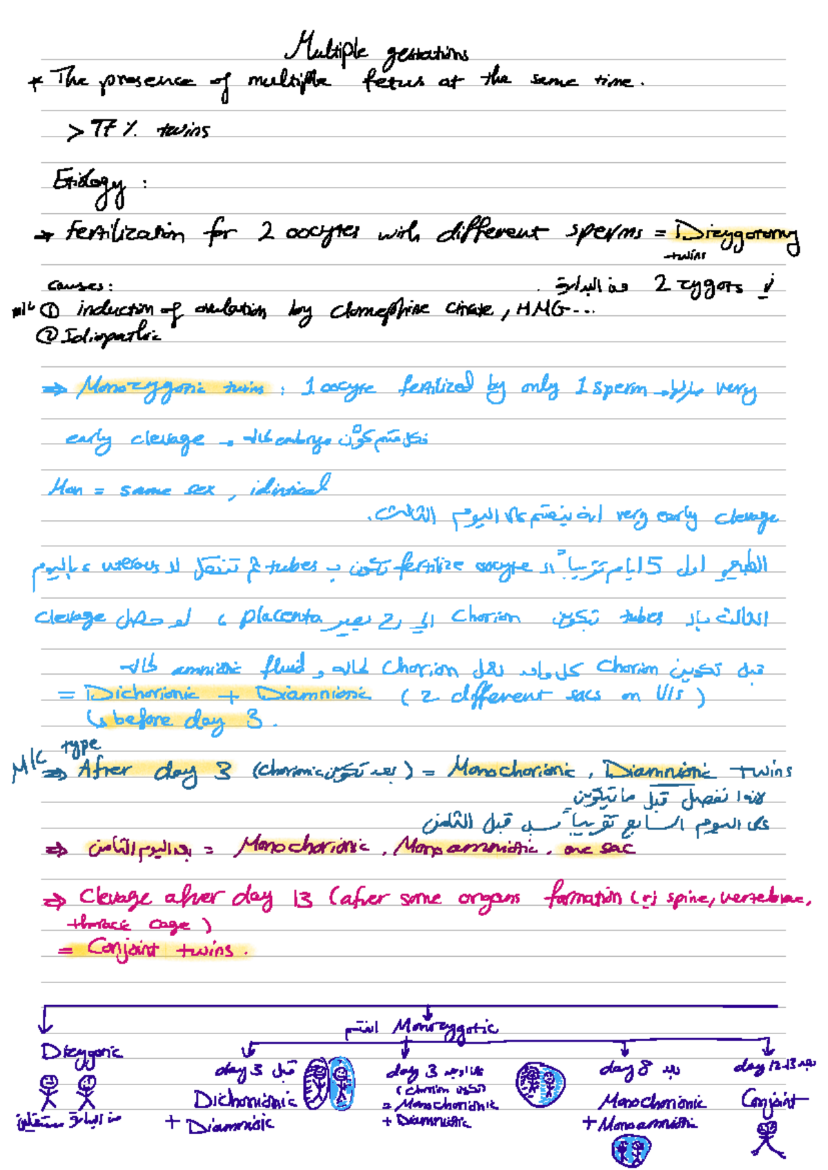 Multiple gestations - Fff - Multiple gestations The presence of ...