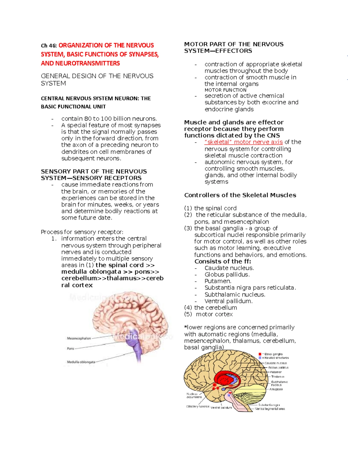 Neurophysiology - Medicosis Perfectionalis - Autonomic Nervous System ...