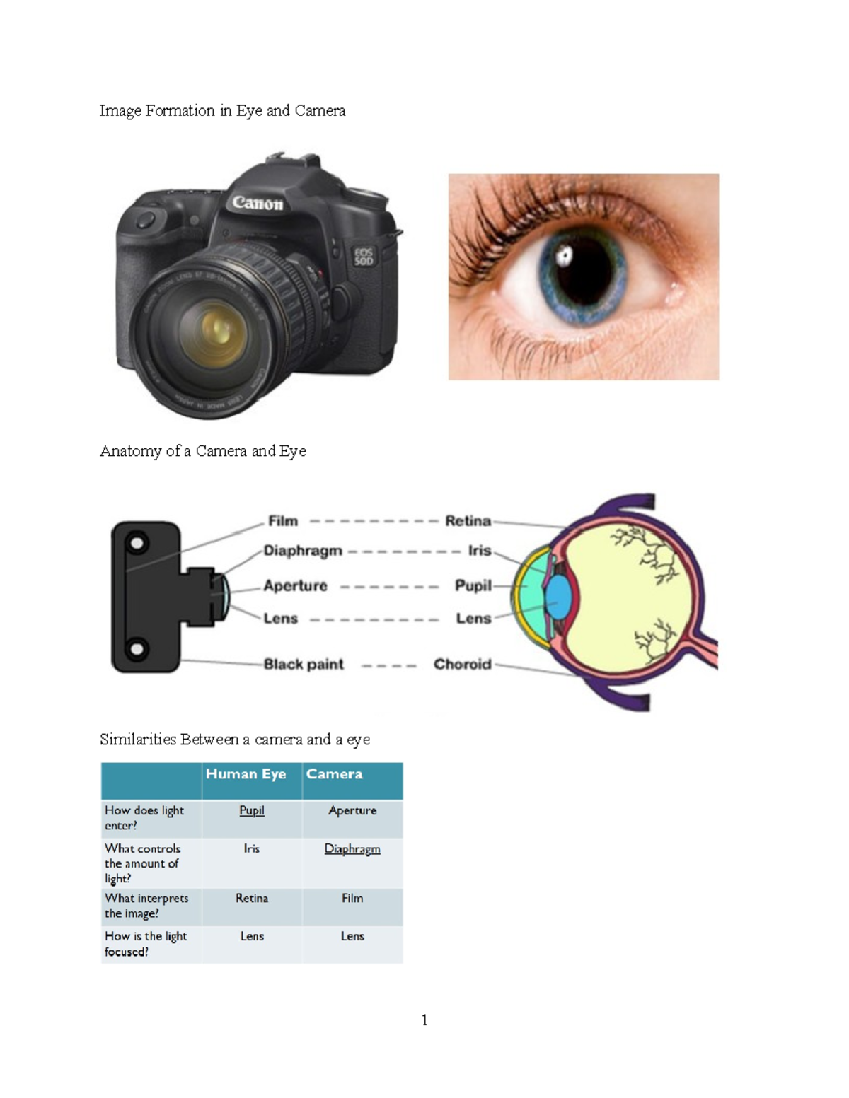 Image Formation in Eye and Camera: Visual Perception Elements - Studocu