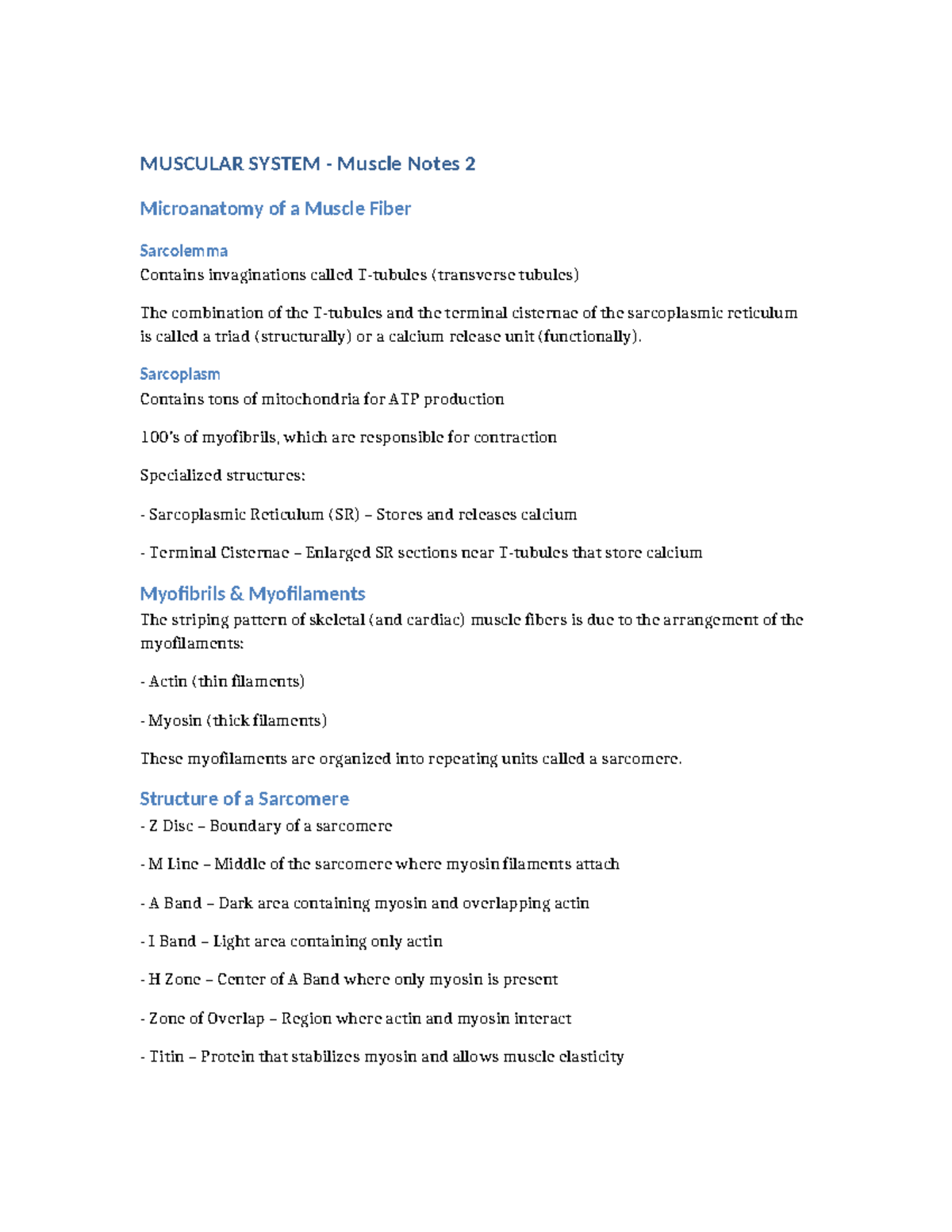 MUSCULAR SYSTEM - Microanatomy of Muscle Fibers Study Notes - Studocu