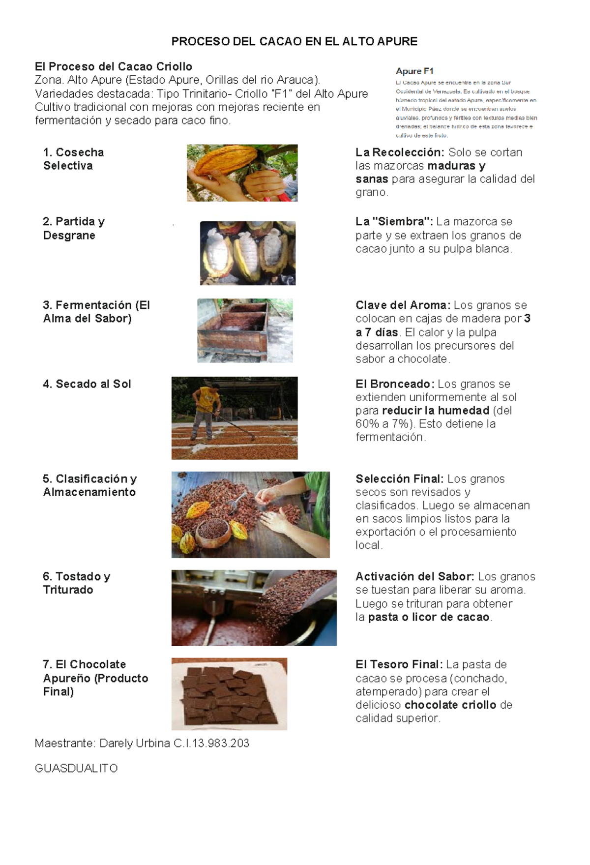 Proceso del Cacao Criollo en Alto Apure: Cultivo y Elaboración - Studocu