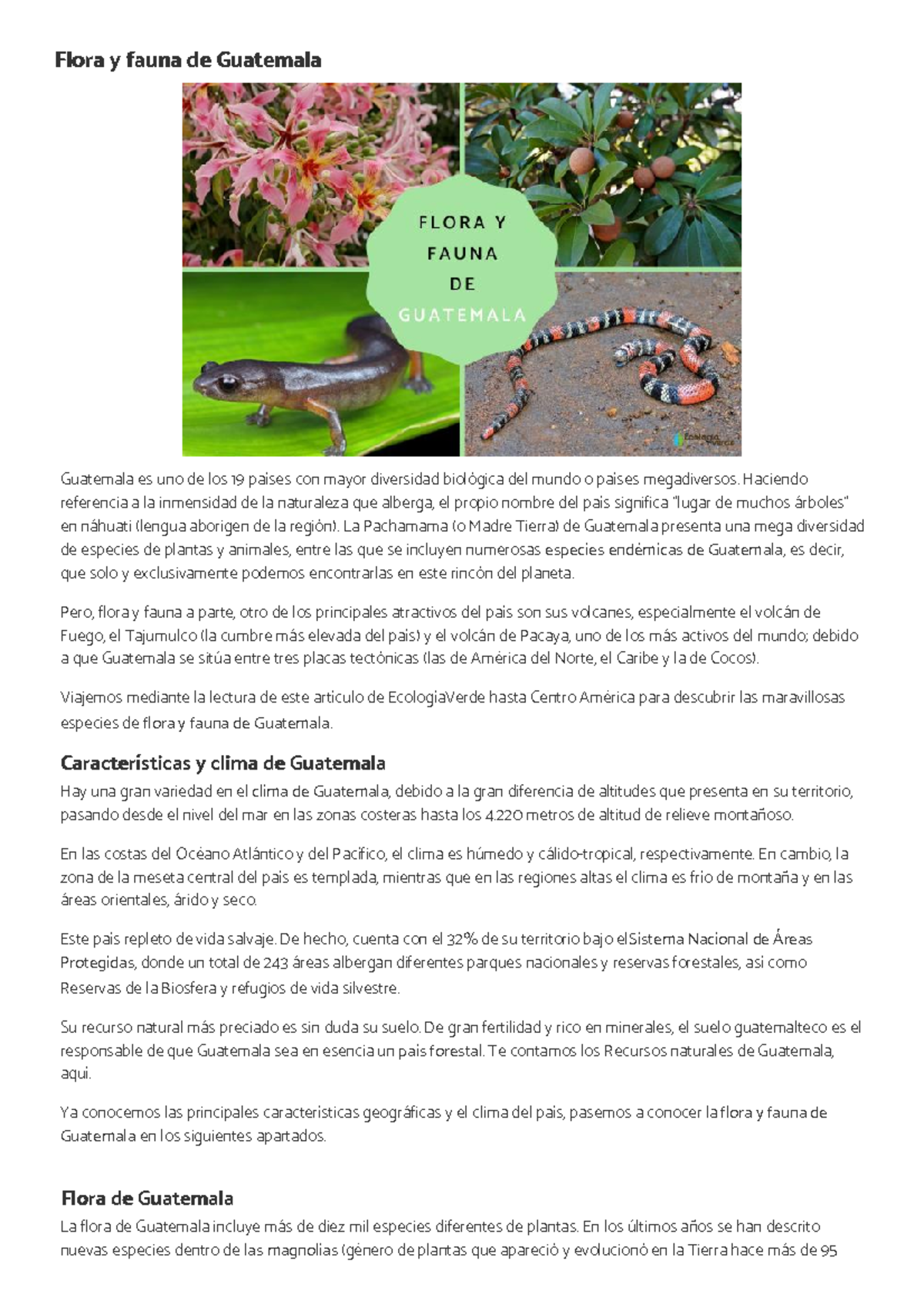 Flora y Fauna de Guatemala: Diversidad y Características Naturales ...