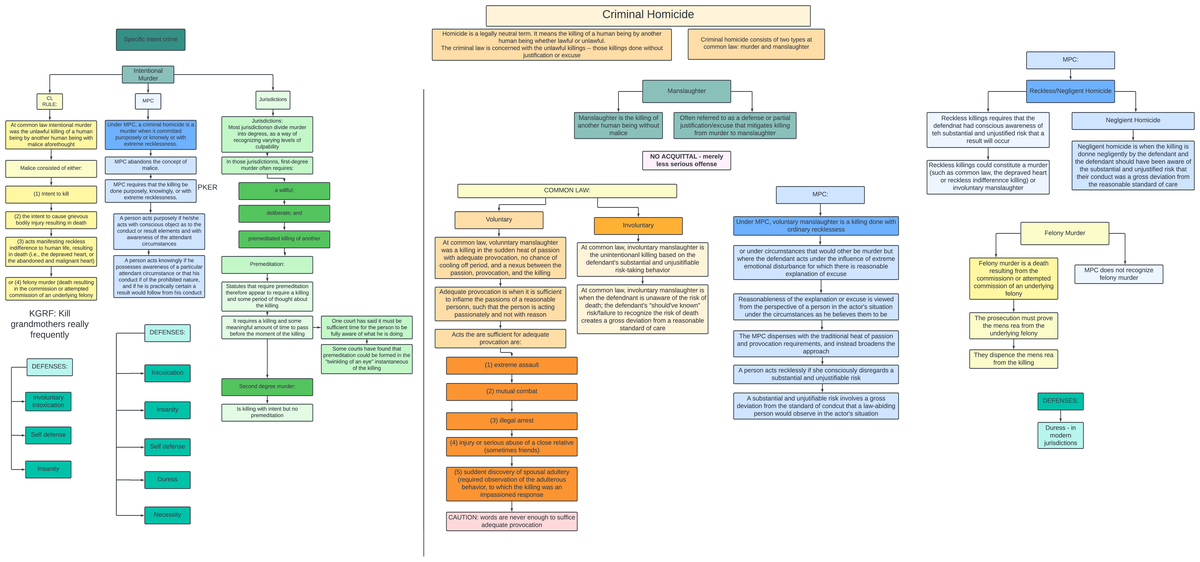 Criminal Homicide Overview: Key Principles & Legal Framework - Studocu