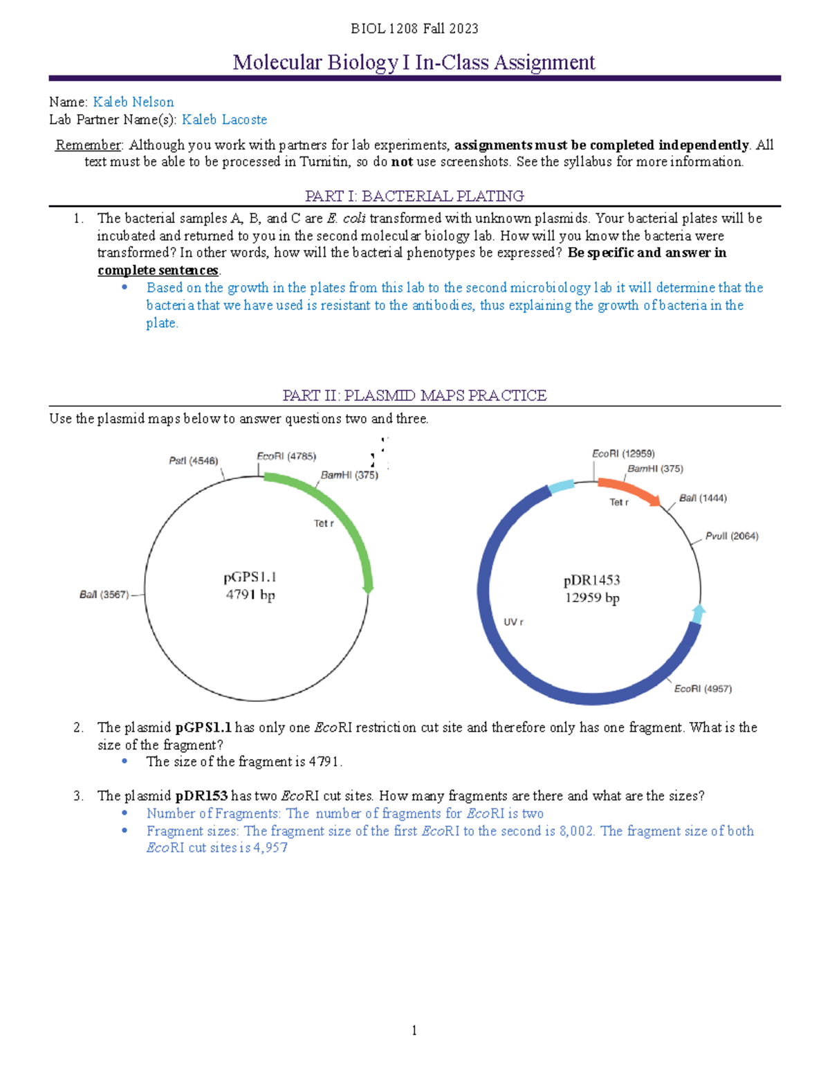 BIOL 1208 Fall 2023 Molecular Biology I In-Class Assignment Guide - Studocu