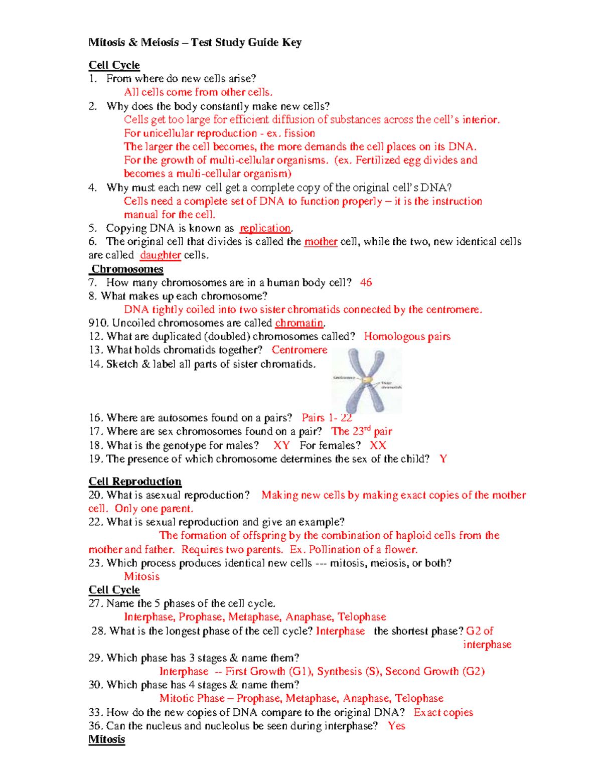 Study guides - mitosis and meiosis - Mitosis & Meiosis – Test Study ...