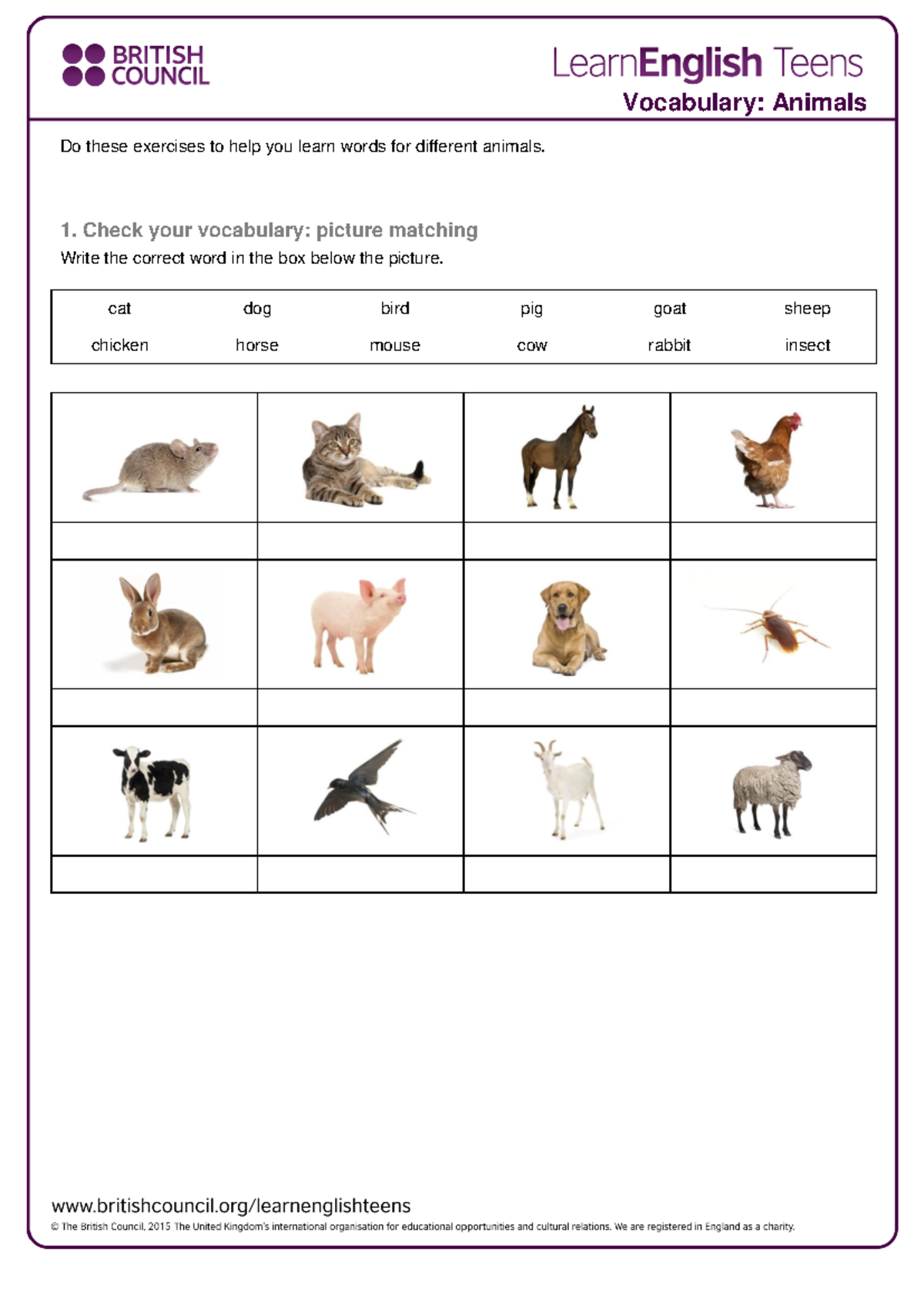 Animals Vocabulary Exercises for Learning Animal Names - Studocu