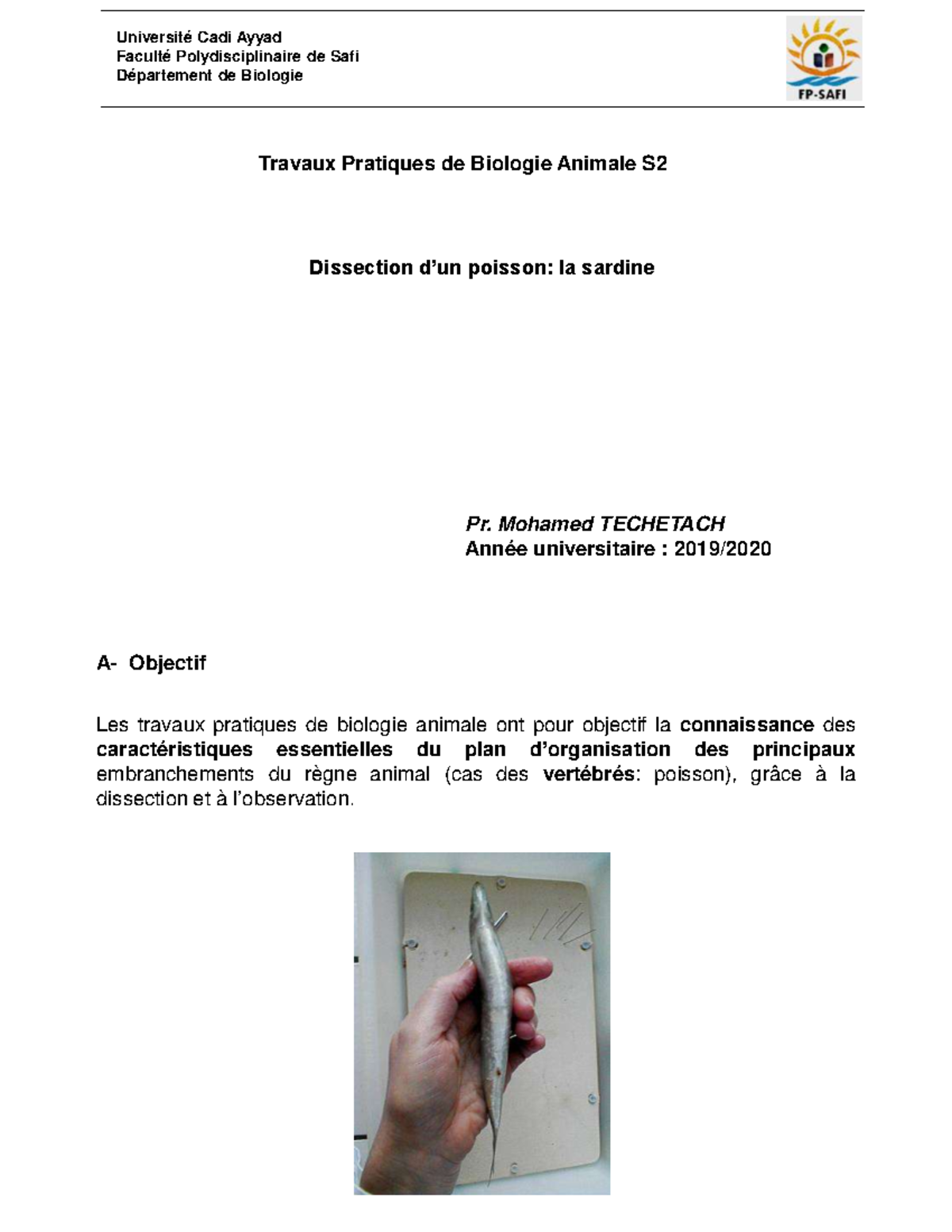 TP de Dissection de Sardine en Biologie Animale (S) - 2019 - Studocu
