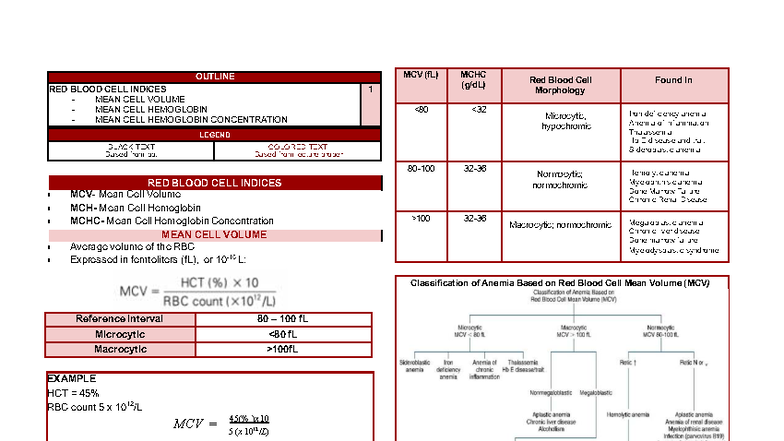 HEMA1 LEC: Red Blood Cell Indices and Morphology Overview - Studocu
