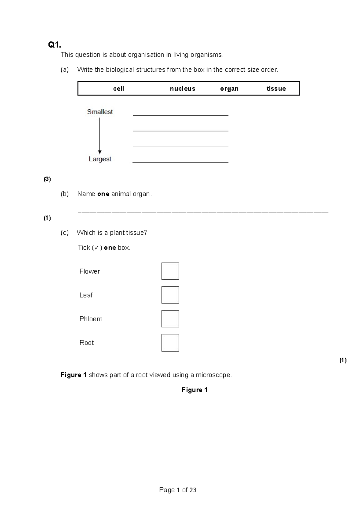 RP Exam Questions for Biology (Q1-Q5) - Studocu