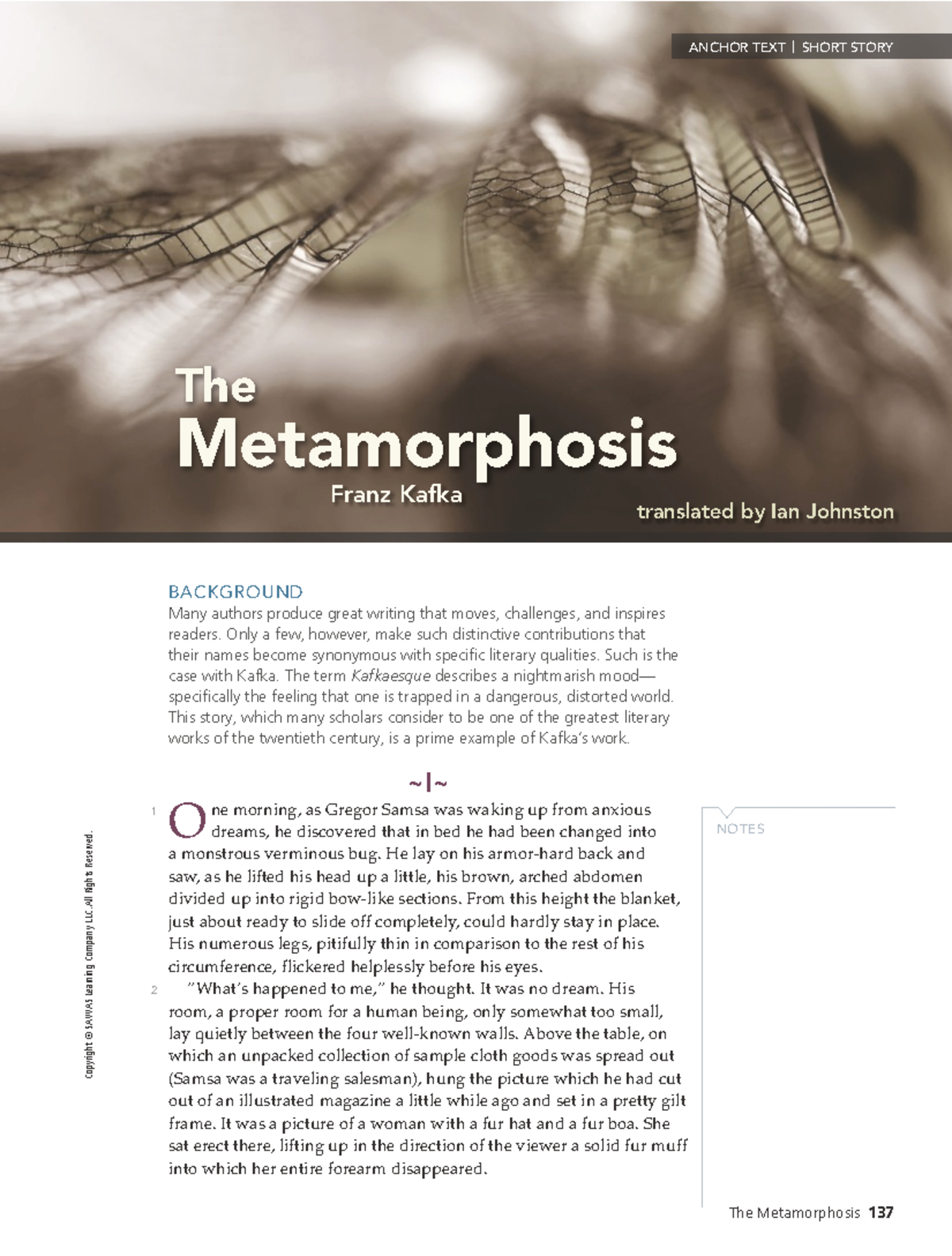 Kafka's Metamorphosis: An In-Depth Analysis of Part 1 - Studocu