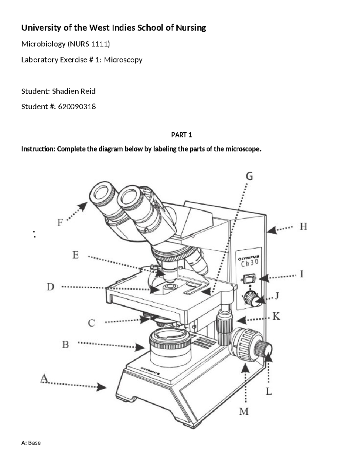 Microscopy Lab Exercise: Understanding Concepts and Applications (NURS 1111) - University of the ...