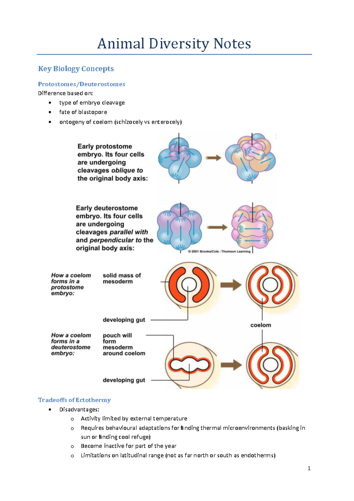 2-animal-diversity - animals - Animal Diversity Notes Key Biology ...