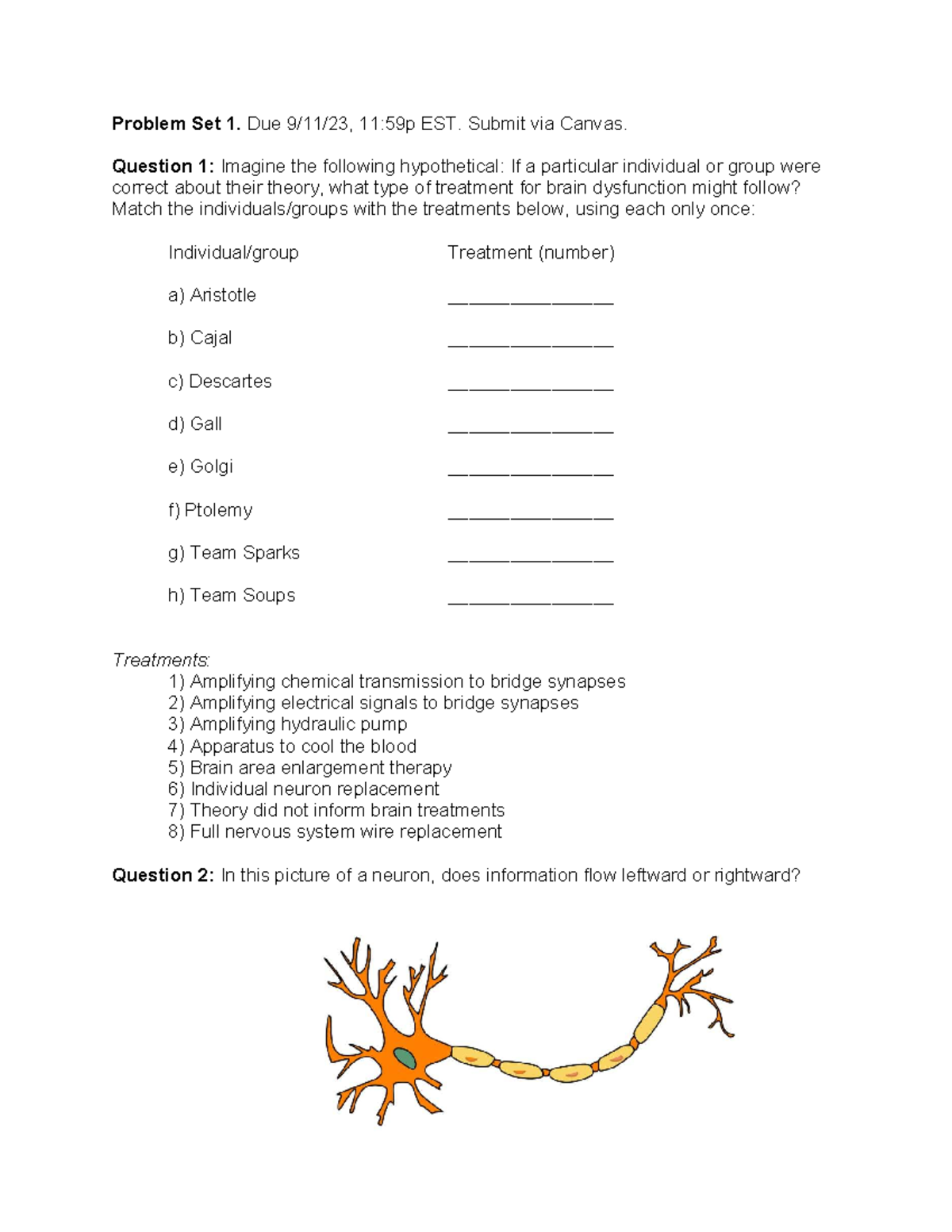 Problem Set 1: Brain Dysfunction Treatments & Neuron Flow Analysis ...
