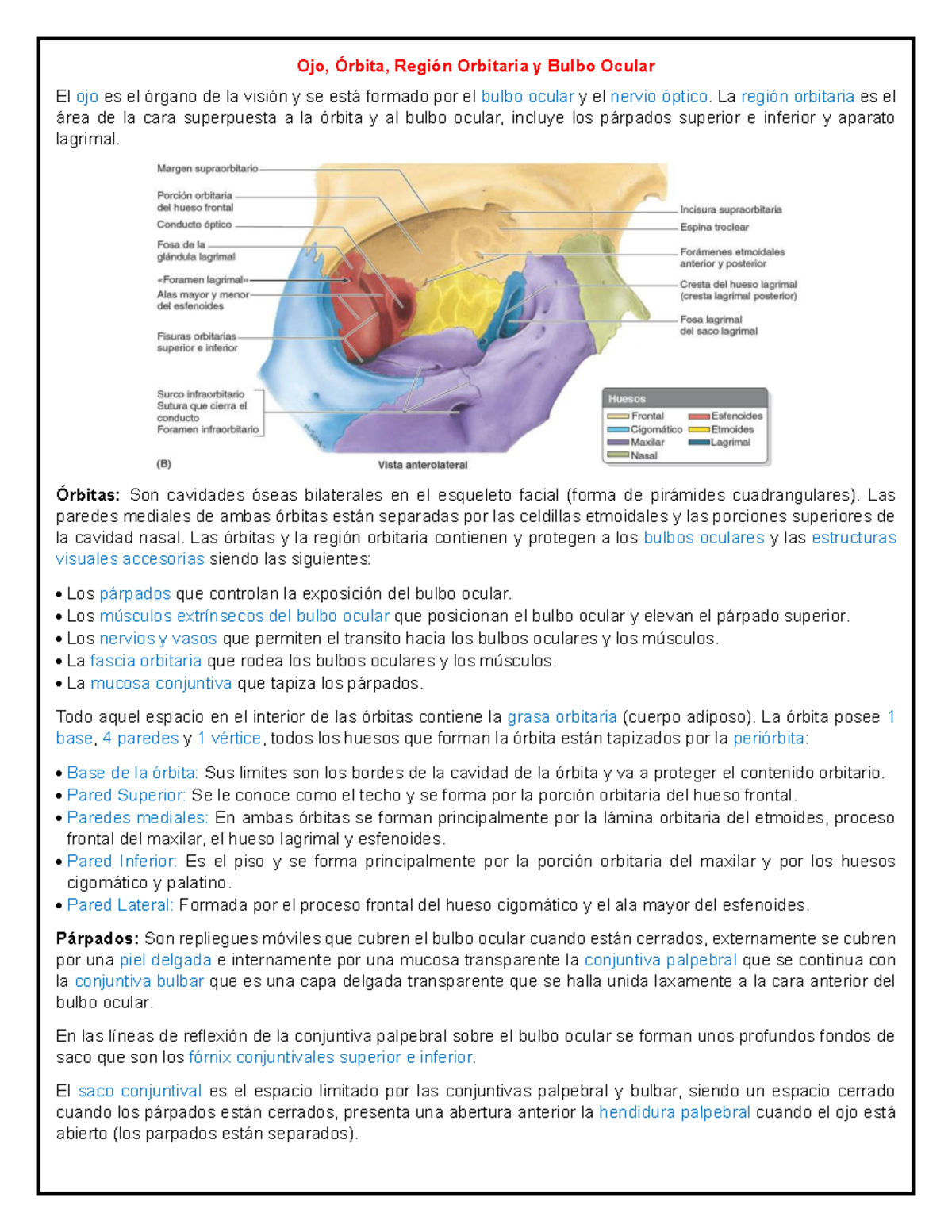 Ojo, Región Orbitaria y Bulbo Ocular - Ojo, Órbita, Región Orbitaria y ...