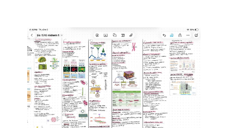 Bio 1540 Midterm 1 Study Notes: Chloroplasts & Cytoskeleton - Studocu