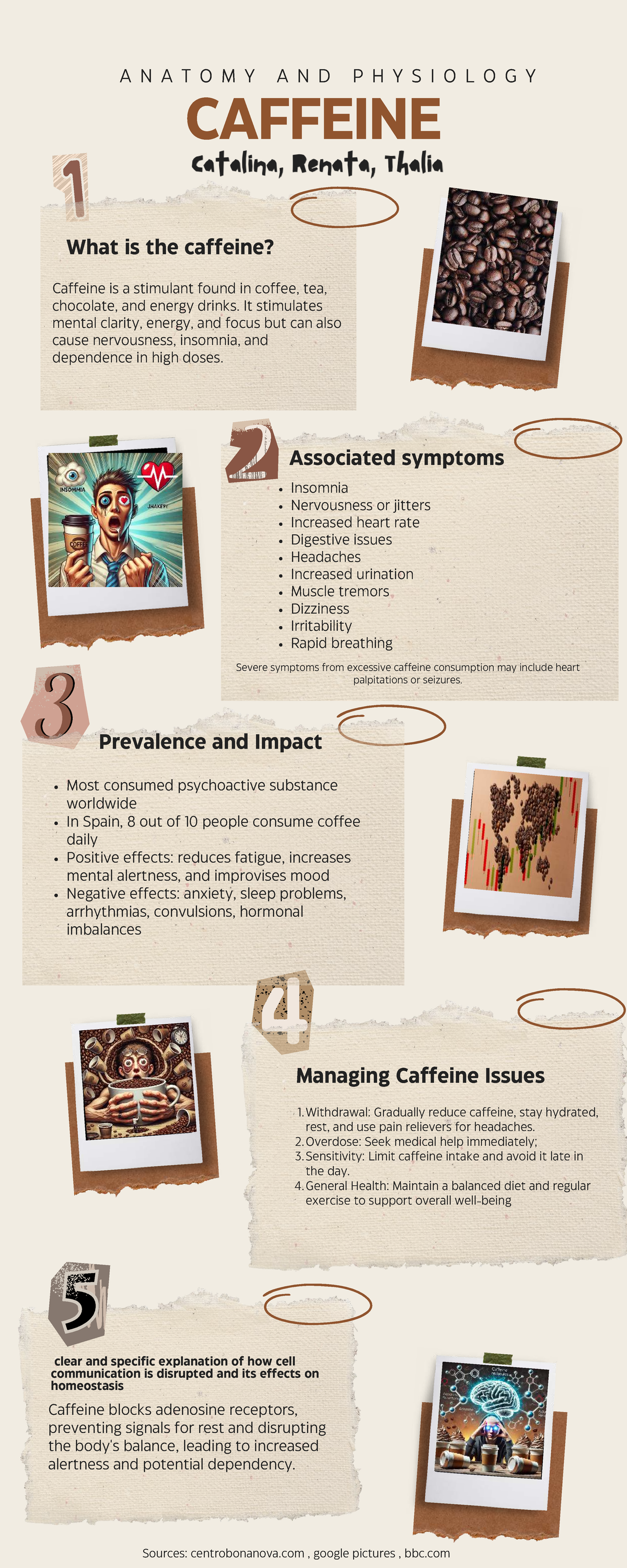 Anatomy and Physiology of Caffeine: Effects and Management Strategies ...