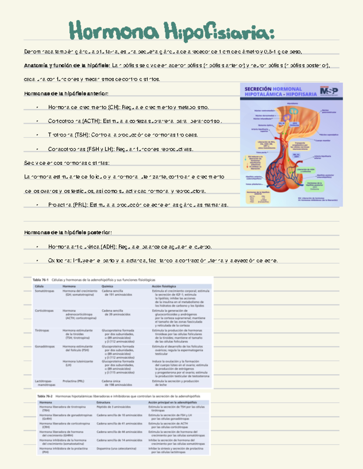 Fisiología 2 - Apuntes de clase - Denominada también glándula pituita ...