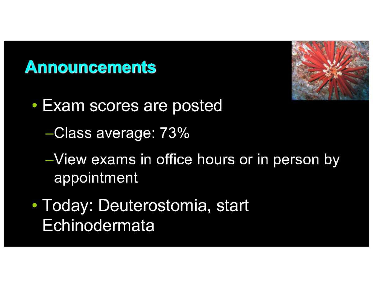 Emerging Patterns of Echinoderms: A Study on Echinodermata (BIO 101 ...