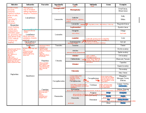 Lab 8 - This is Lab 10 in the book, Primate Taxonomy. Includes Prelab ...