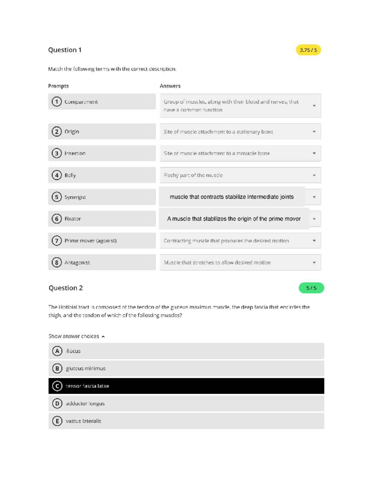 A&P Quiz CH11: Muscle Functions & Anatomy Terms Matching - Studocu