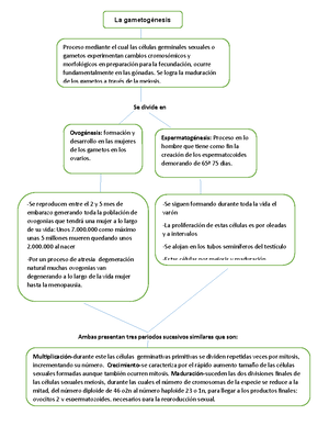 Enfermedades congénitas Amelia y meromelia - La supresión del ...
